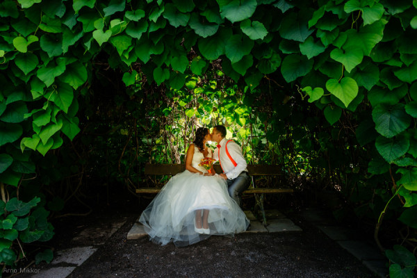 Pulmapidu Tartumaal Soo puhketalus - Pulmafotograaf Arno ...