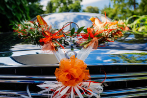 Pulmapidu Tartumaal Soo puhketalus – Pulmafotograaf Arno Mikkor